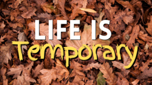 Life Is Temporary - Lessons from Life and the Bible - Richard Dickson